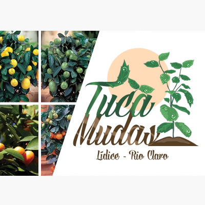 Lídice RJ | Guia Comercial de Rio Claro RJ - Comércios e Serviços ...